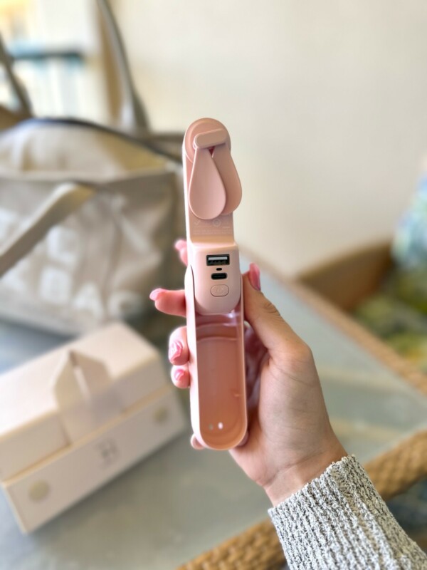 Our Everyday Purse Essentials List - We Cannot Live Without These!