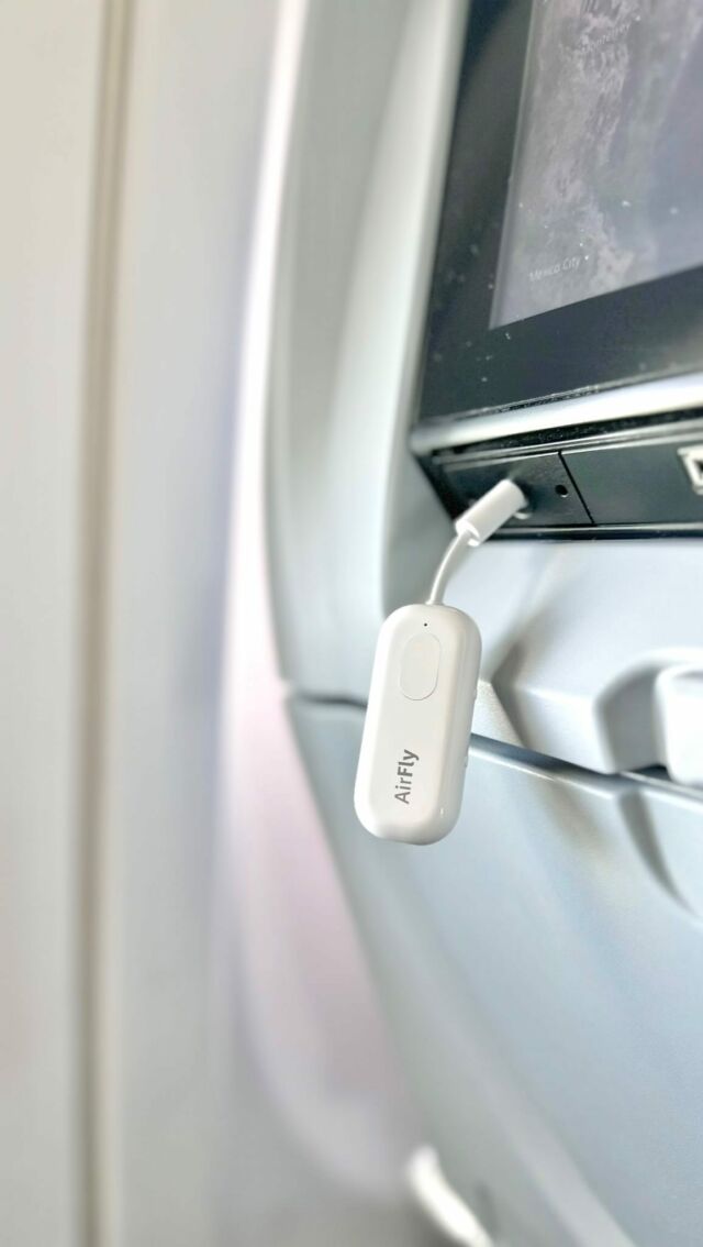 Link Tree - TikTok - Everything Envy