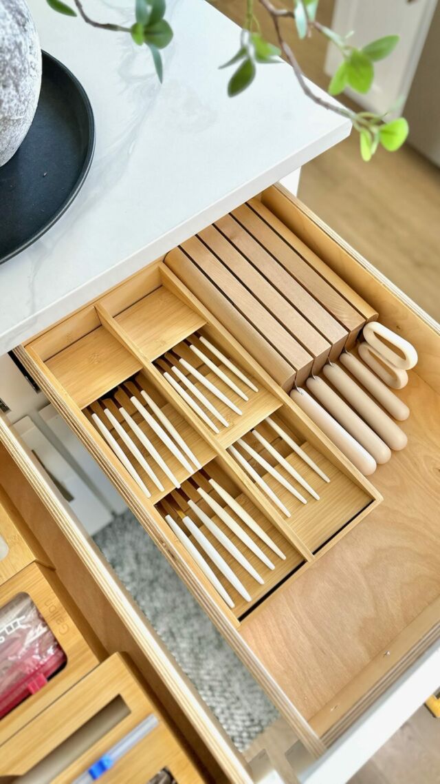 Shop All Everything Envy